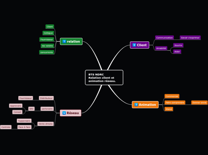 BTS NDRC Relation client et animation rése...- Mind Map